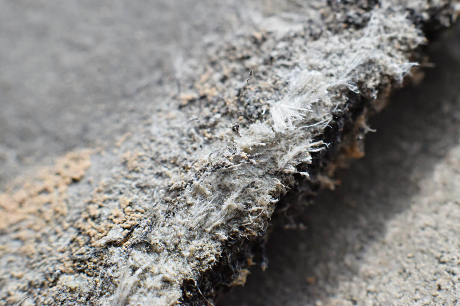 U.S. Government Is Falling Behind Inspecting Federal Buildings for ...