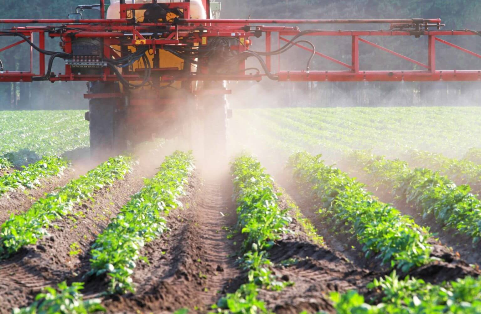 130 lbs. of Roundup Sprayed Over Every Square Mile in the U.S. on ...