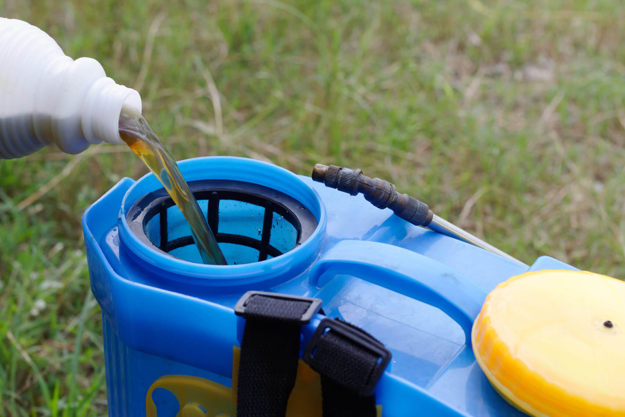 Paraquat MDL Lawsuit Deadlines Extended Again, as Settlement Details ...