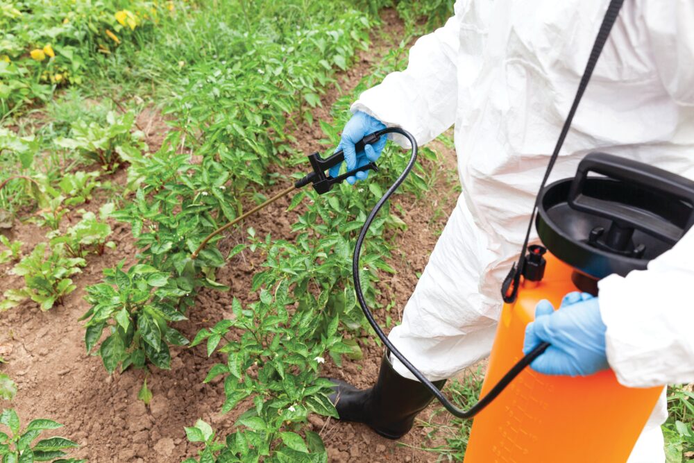 EPA Issues Emergency Order for Dacthal Pesticide Recall Due to Health ...